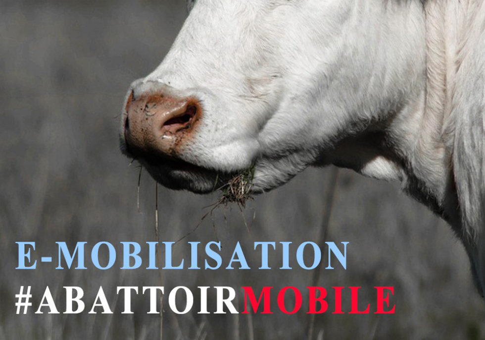 Abattoir mobile : passer du projet à la réalité ? - OABA
