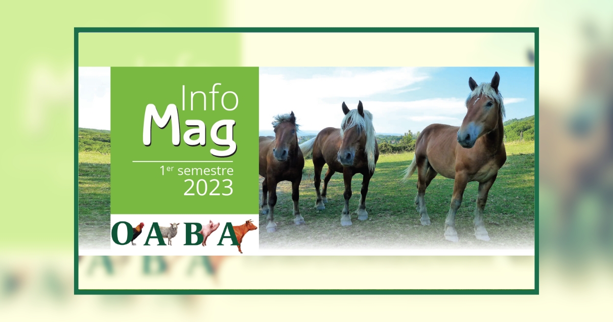 Le nouvel InfoMag est sorti - OABA