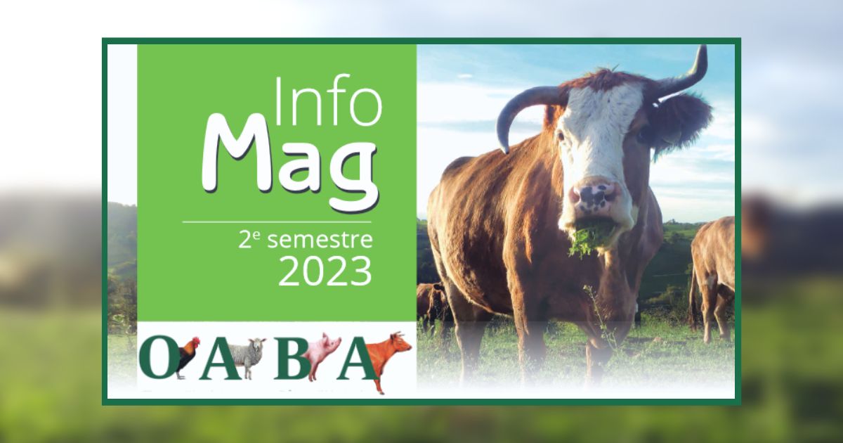 Le nouvel Info Mag est sorti - OABA