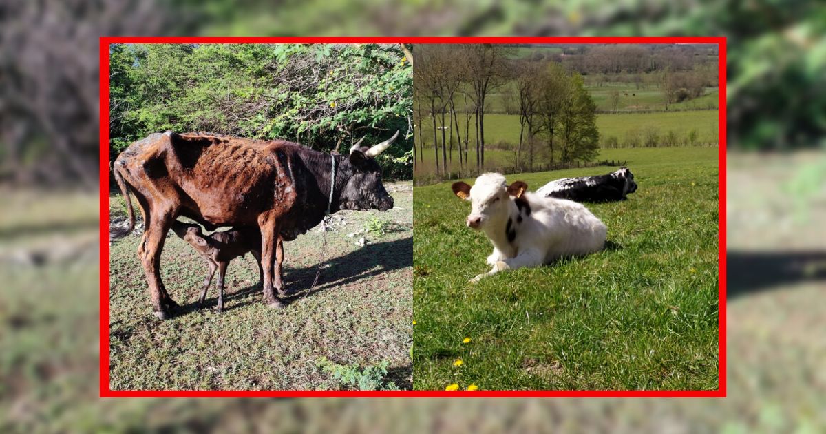 Temps forts de 2023 - OABA