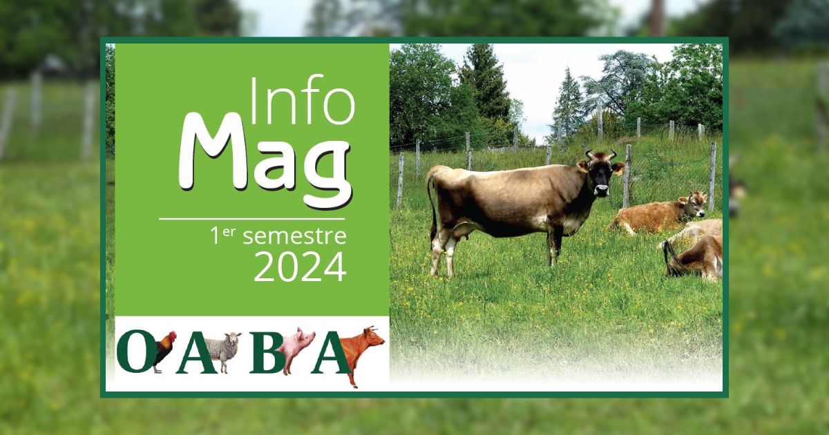 Le nouvel Info Mag est sorti - OABA