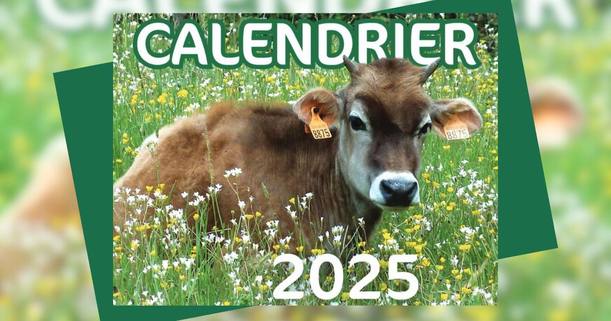 Calendrier 2025 : les précommandes sont ouvertes ! - OABA