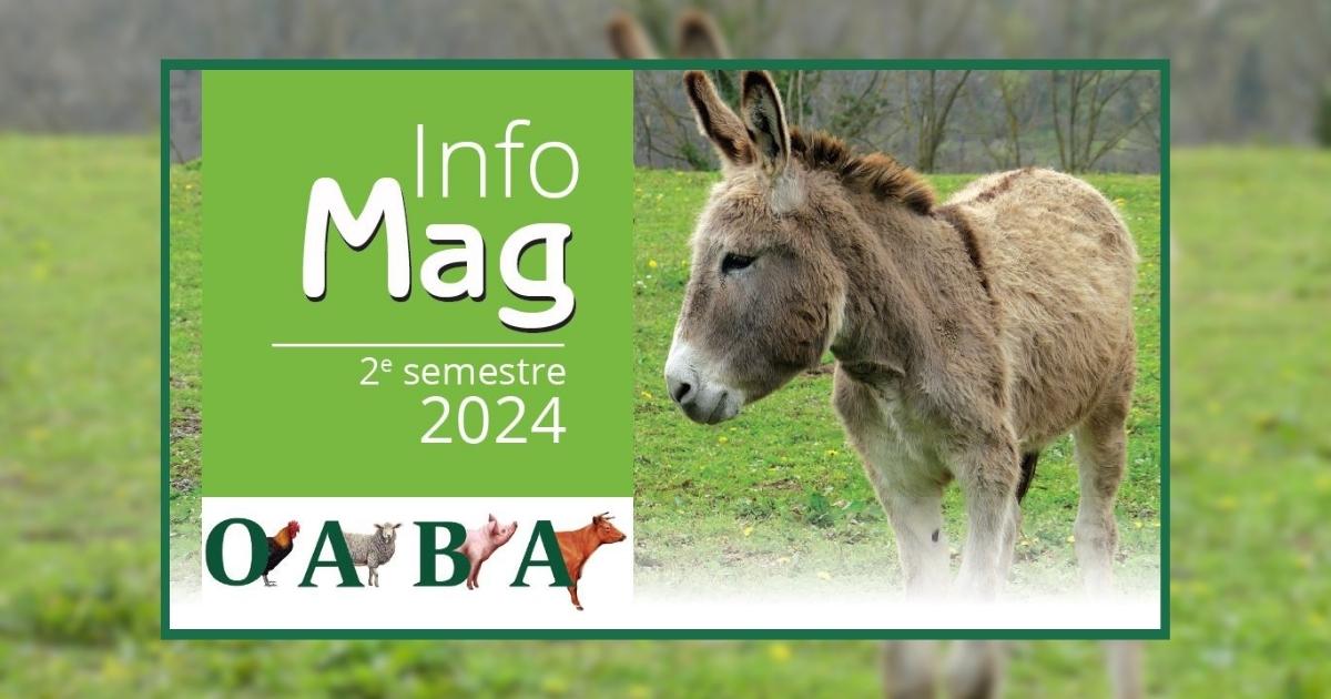 Le dernier Info Mag est en ligne - OABA