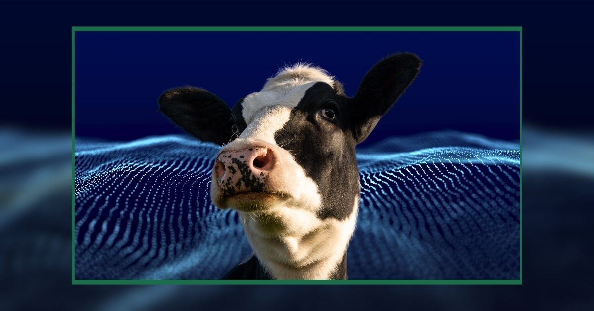 Prochain événement : l’Assemblée Générale 2025 - OABA