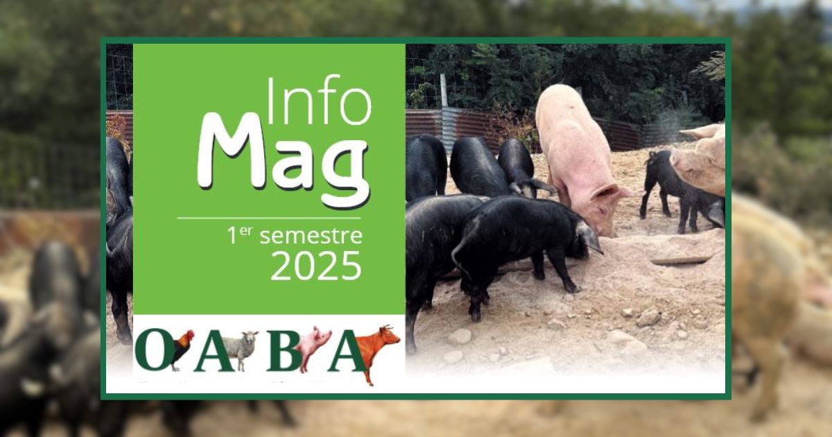 Le dernier Info Mag est en ligne - OABA