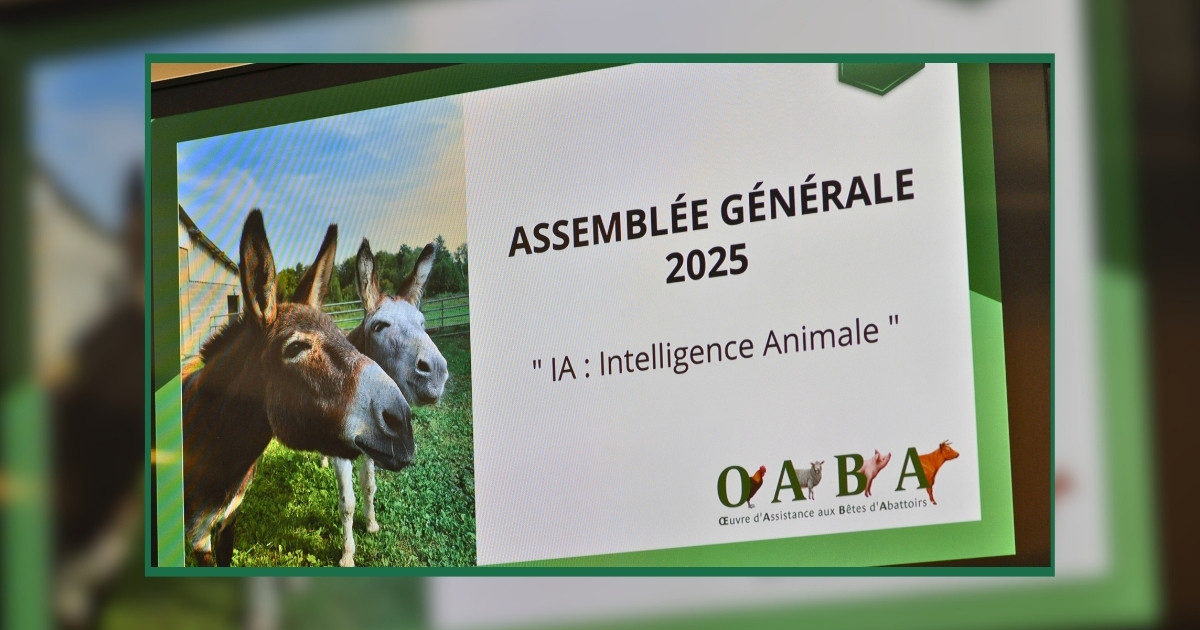Assemblée Générale consacrée aux Intelligences Animales - OABA