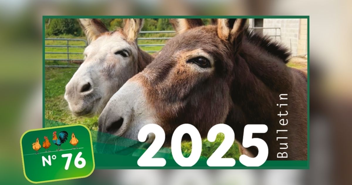 Rapport annuel : le Bulletin 2025 de l’OABA est en ligne ! - OABA