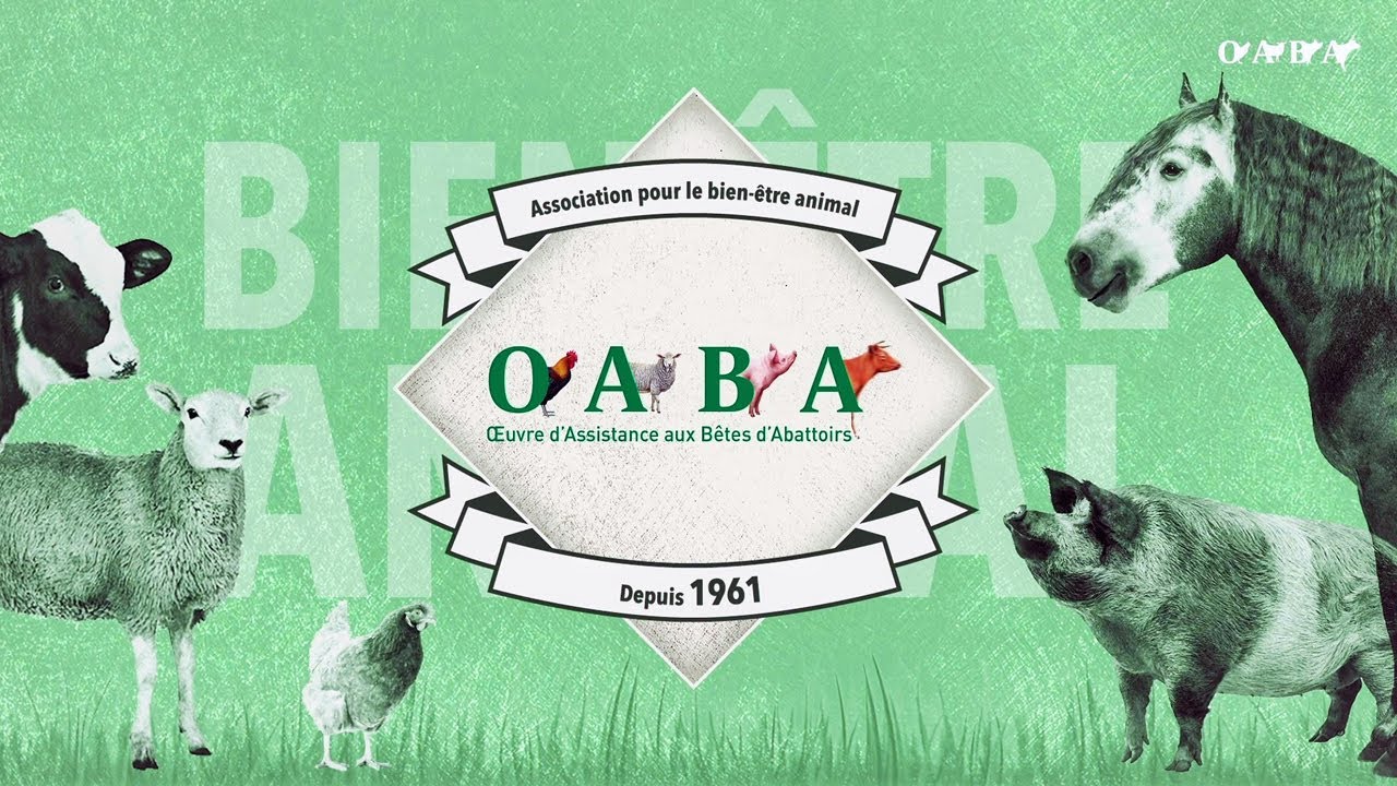 Qui sommes-nous - OABA